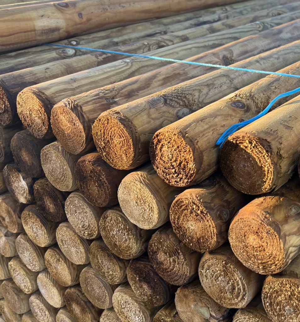 Your One-Stop Shop for Timber Supplies | Hales Sawmills