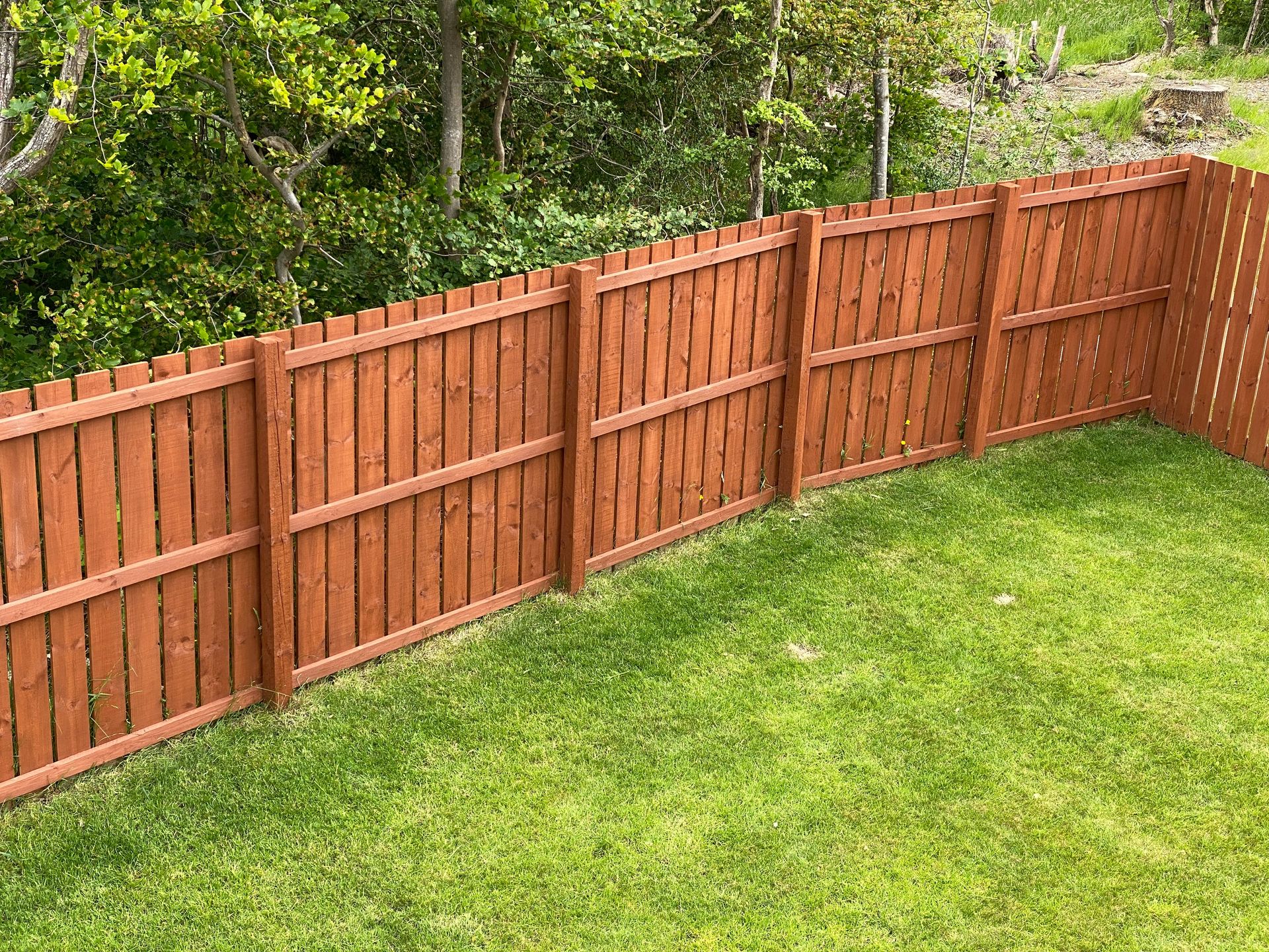 Your Ultimate Guide to Fence Panels | Hales Sawmills
