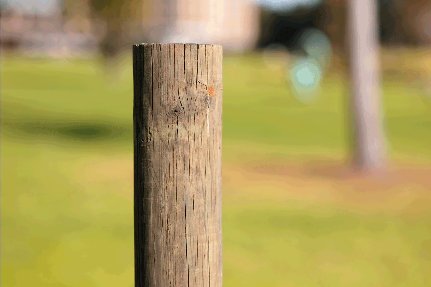 Here’s The Many Versatile Uses of Wooden Posts Explained - Hales Sawmills