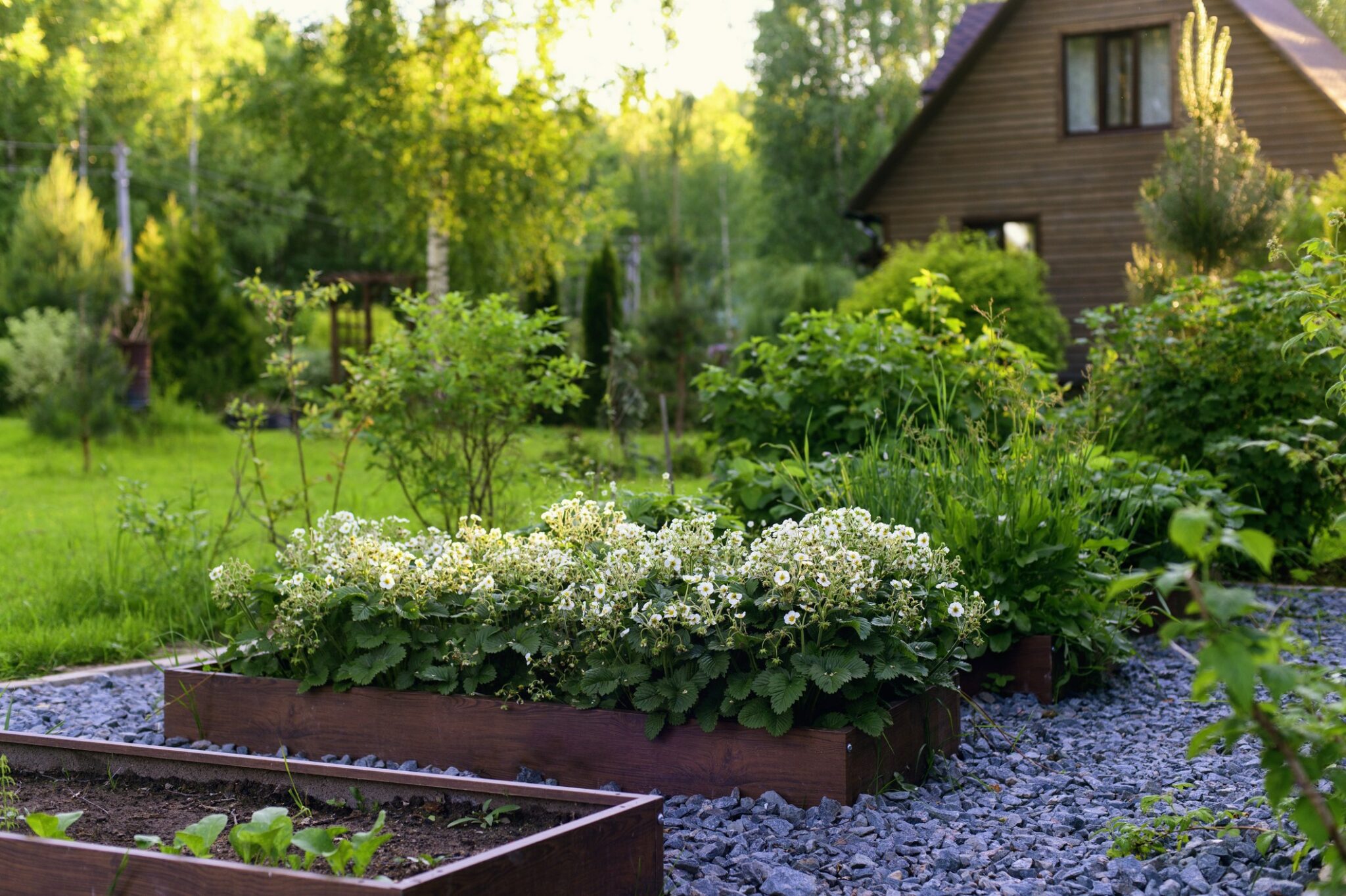 How To Use Your Garden All Year Round | Hales Sawmills